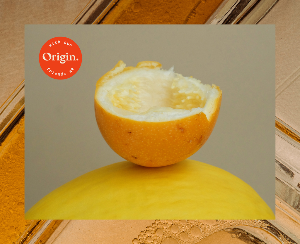 The Real Deal with Prolapse – Hazel