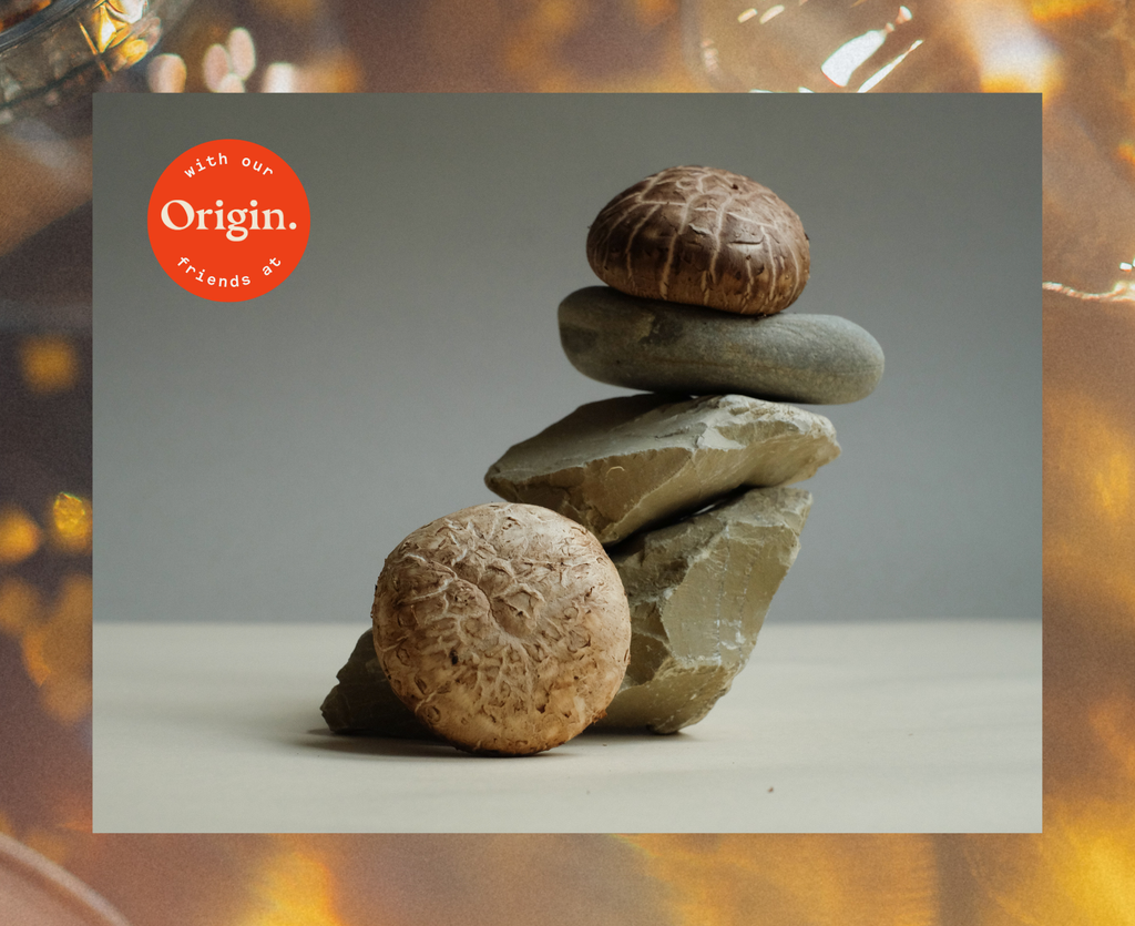 The Real Deal with Constipation & The Pelvic Floor – Hazel