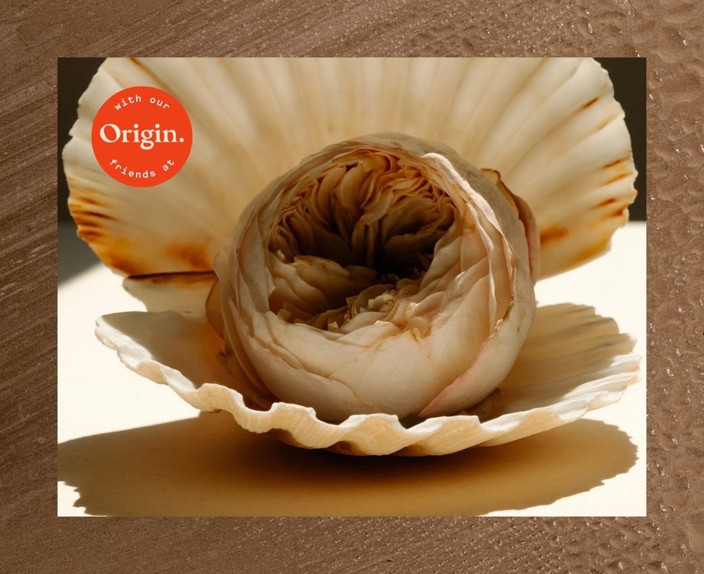 The Real Deal with Vaginismus, Vulvodynia, Dyspareunia – Hazel